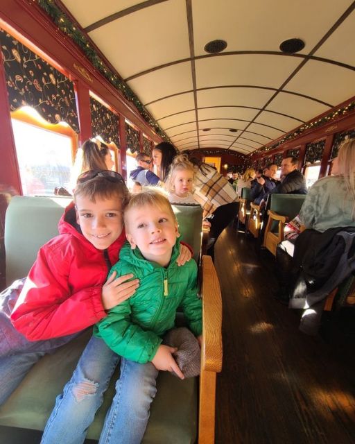 IT WAS OUR FIRST TRAIN TRIP TOGETHER—AND MY SONS DID SOMETHING THAT ...